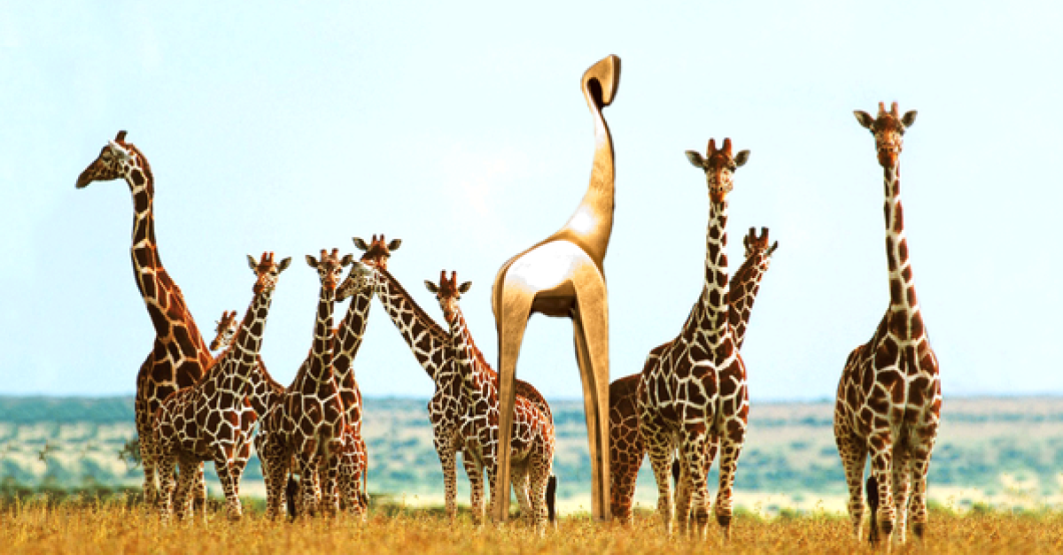 Is er een plek waar je mee kan kijken met de 15 beste evenementen van ...