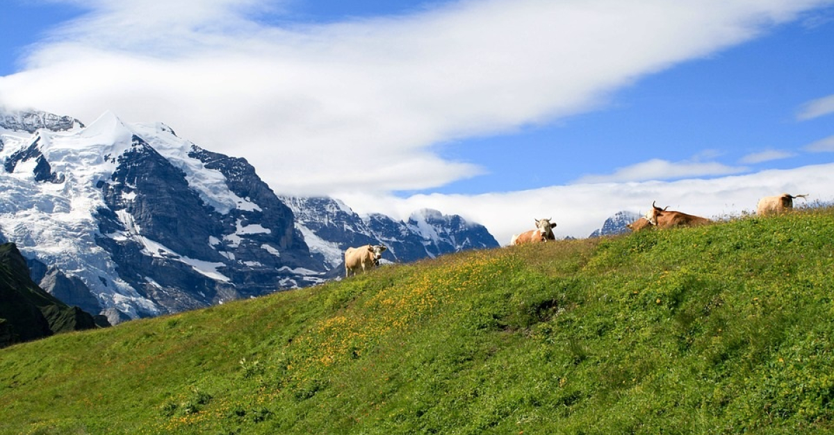 Waarom Zwitserland? Als vergader en incentive bestemming ...